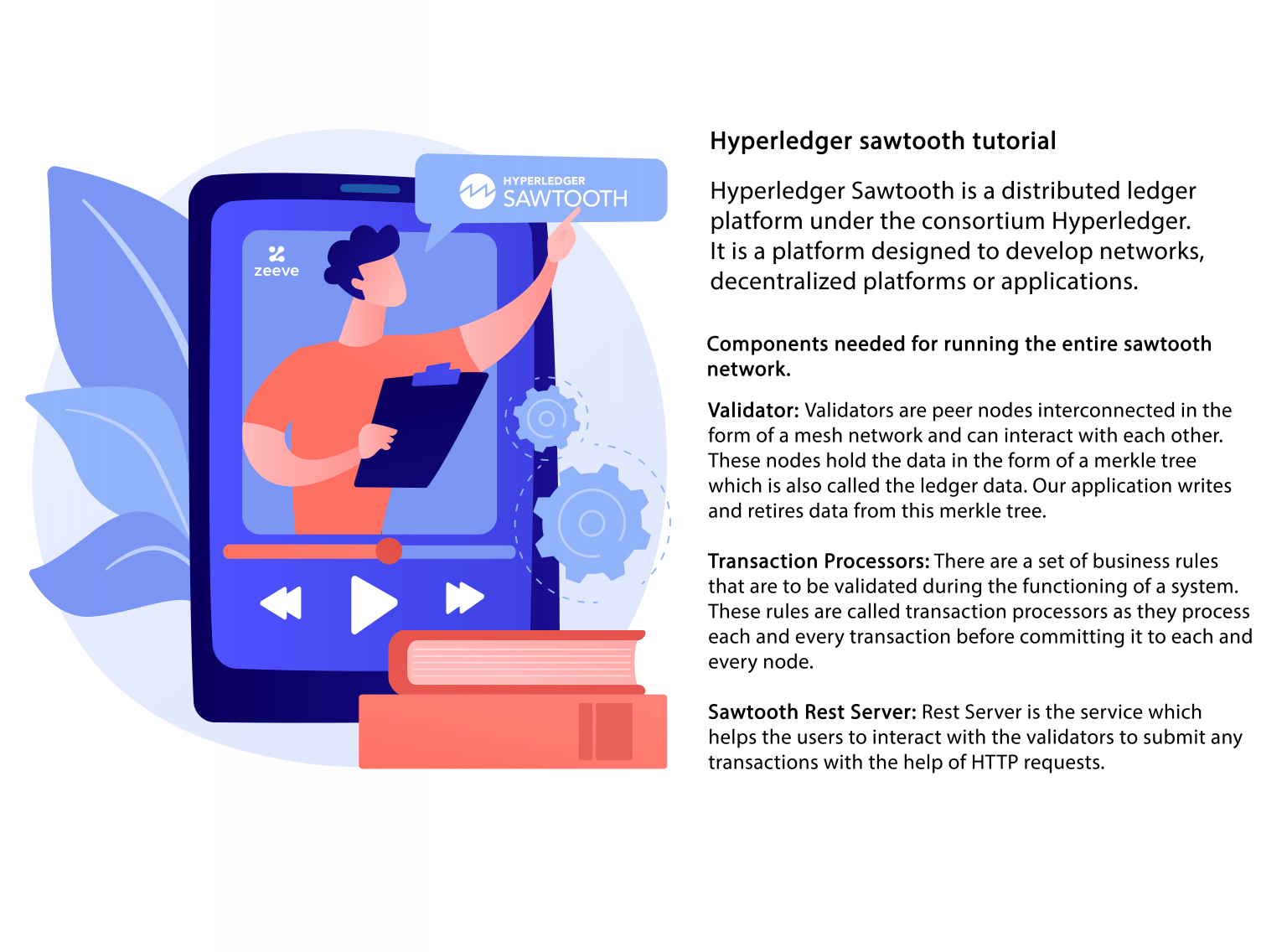How To Deploy Hyperledger Sawtooth Node- A Complete Guide